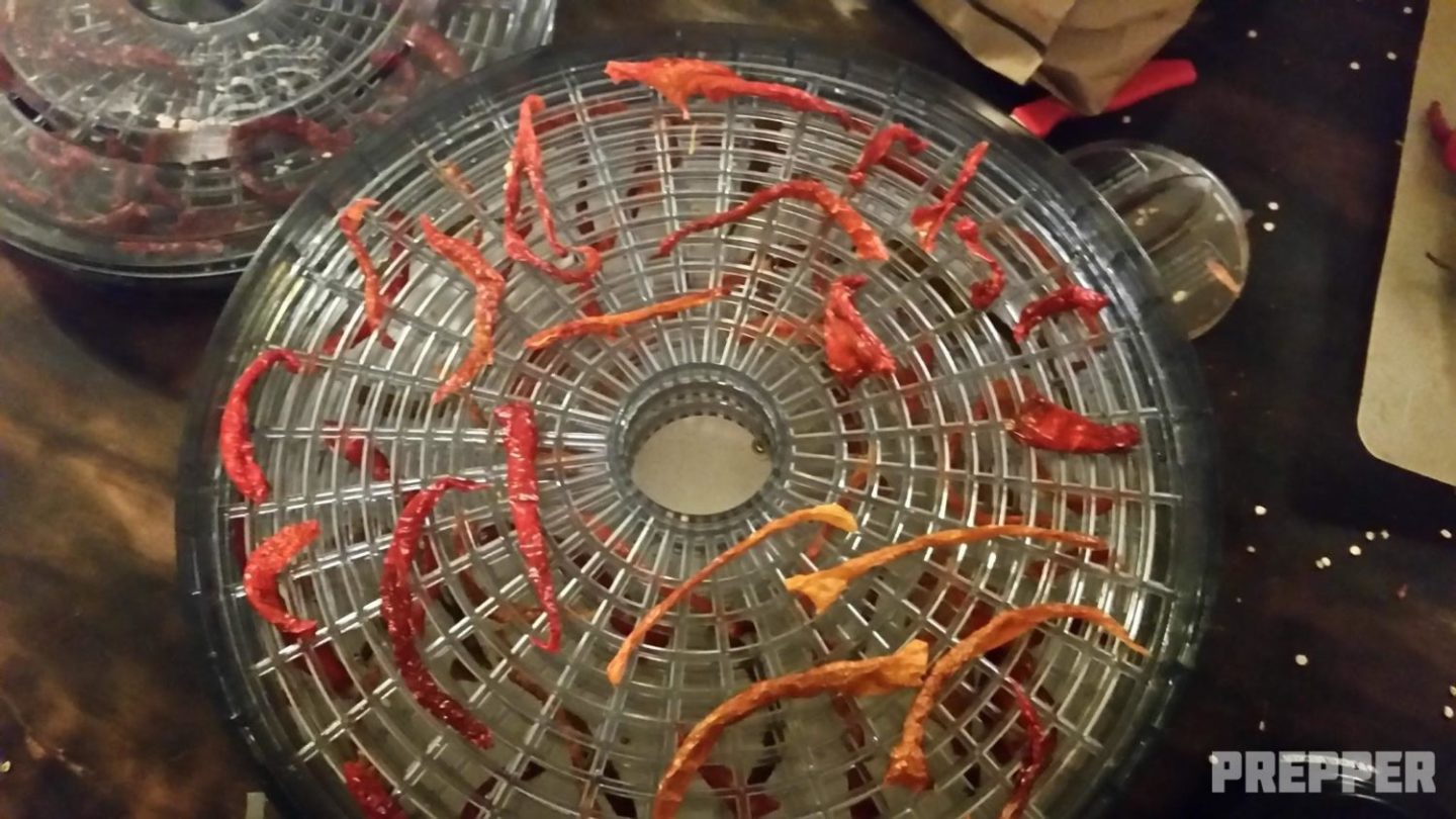 Peppers For Preppers - Growing And Preservation Tips - Prepper.com