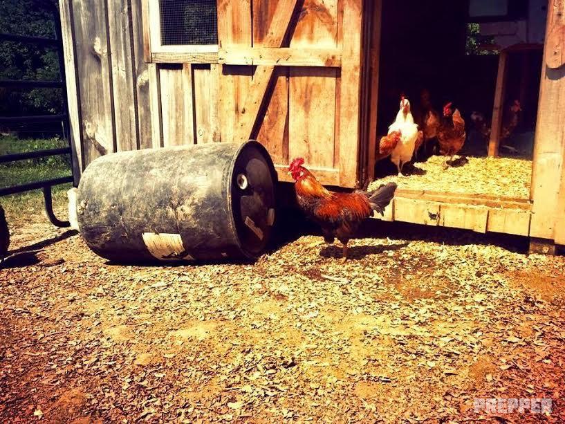 Ultimate Guide To Buying Survival Retreat Land: Part 3 - Prepper.com